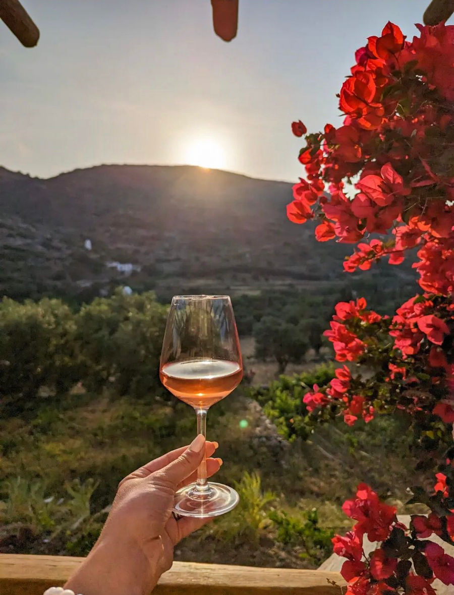 Visit producers and participate in food activities in Greece