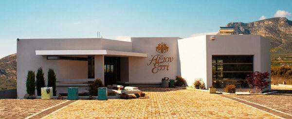 Honey & Bee Products Festival Returns to Piraeus - Gastronomy Tours